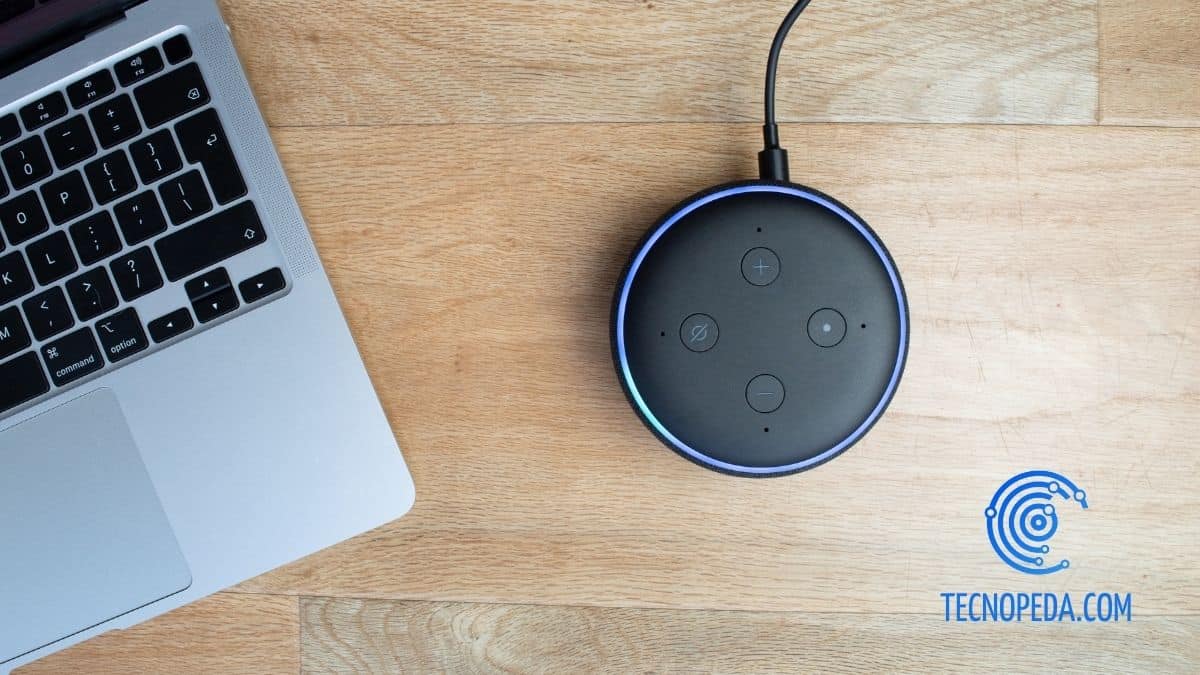 ¿Qué Significan los Colores en Alexa Echo Dot y Echo Show?