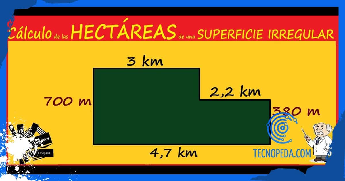 ¿Cuánto Es Una Hectárea? Equivalencias y Medidas